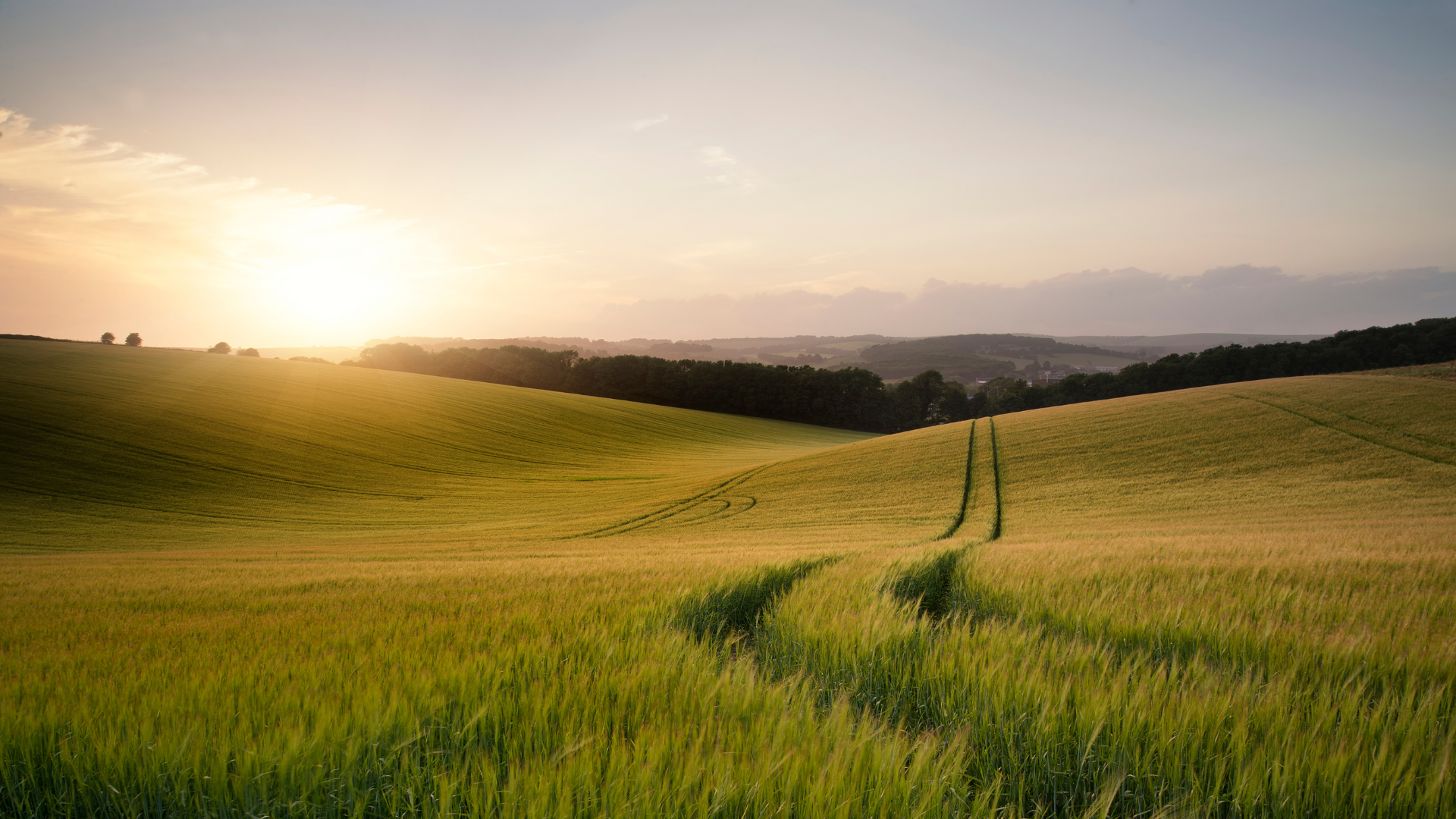 About REDi Health - Data Analytics for Rural Healthcare